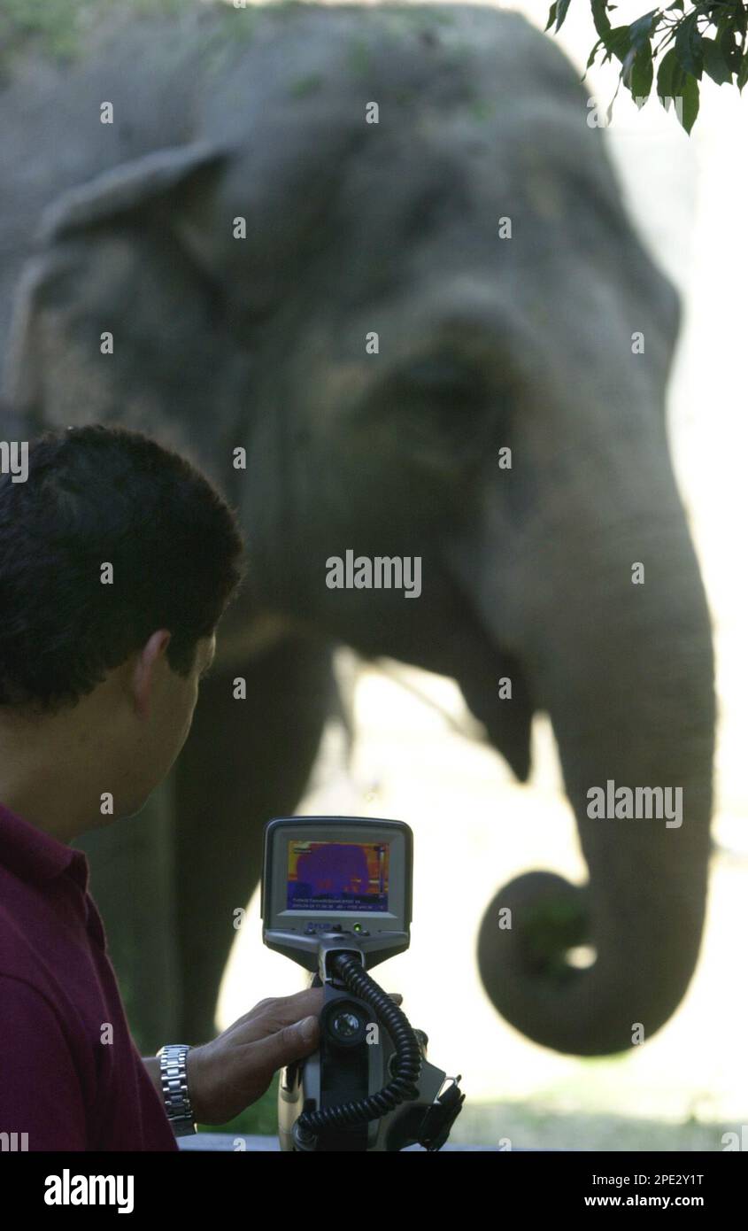 A thermal imaging camera from the Italian Fire Department is pointed on ...