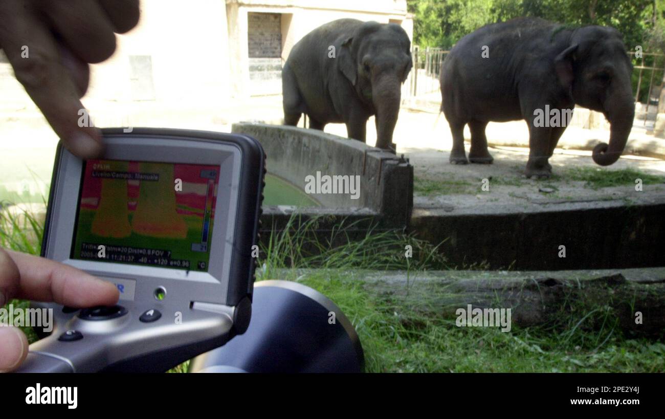 A thermal imaging camera from the Italian Fire Department is pointed ...