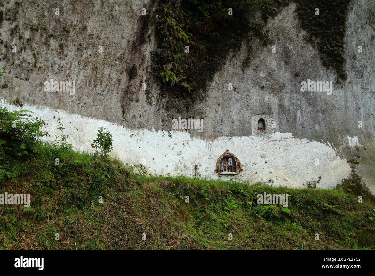 El Cirio. Iconic and sacred site Otomi - Tepehua of Tenango de Doria ...