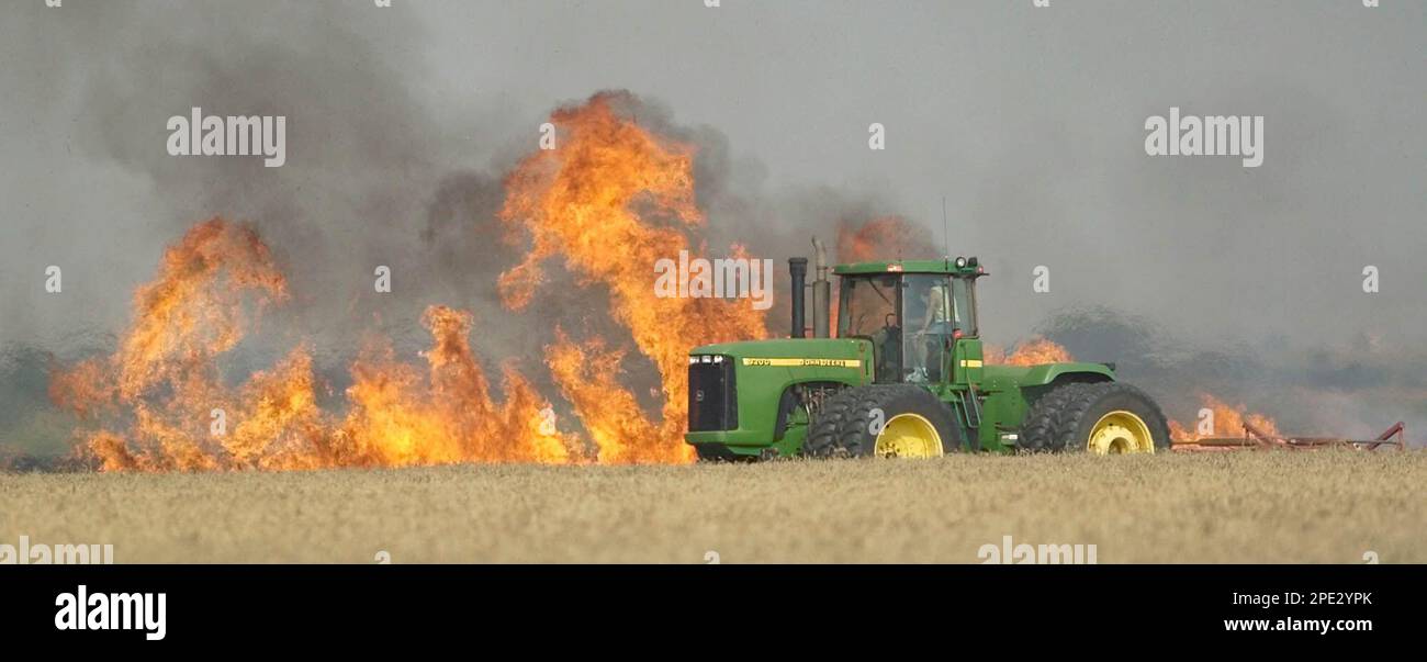 A John Deere tractor cultivates around a standing wheatfield fire to ...