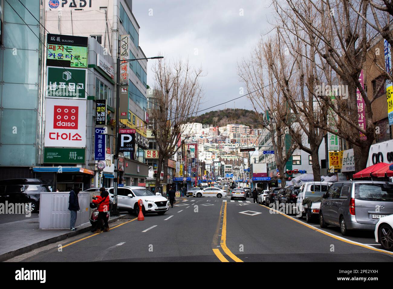 Landscape building downtown and cityscape Nampodong city with life ...