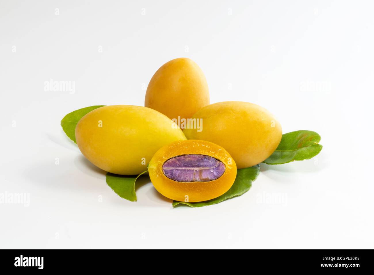 Ripe plum mango isolated on white background. (Bouea macrophylla ...