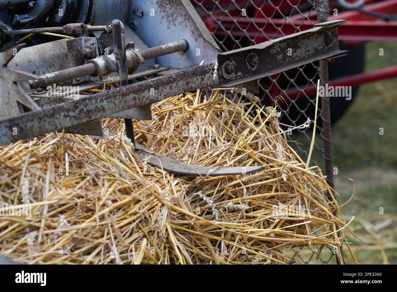 Grain harvest and processing with old traditional equipment Stock Photo ...