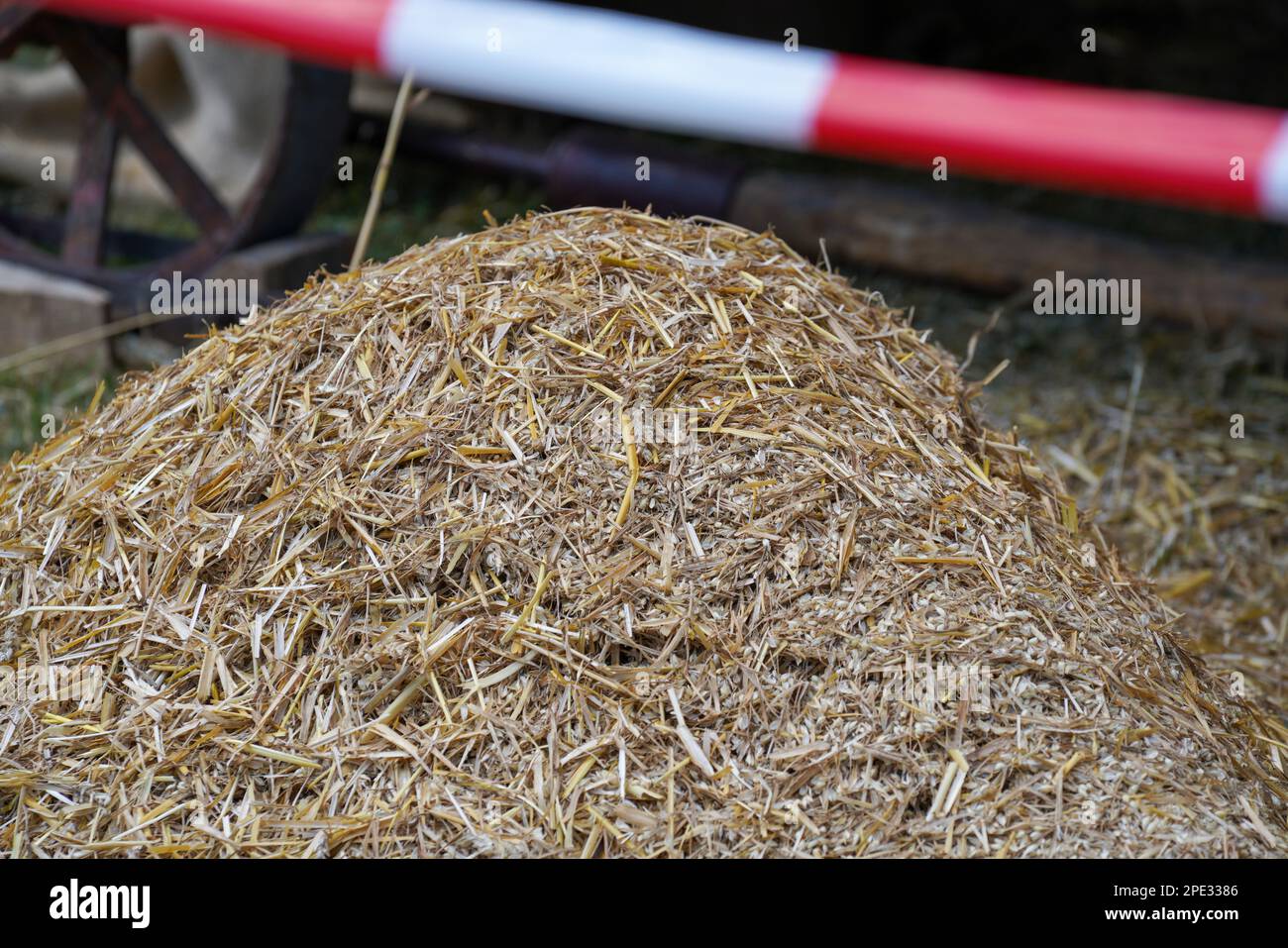 Grain harvest and processing with old traditional equipment Stock Photo ...