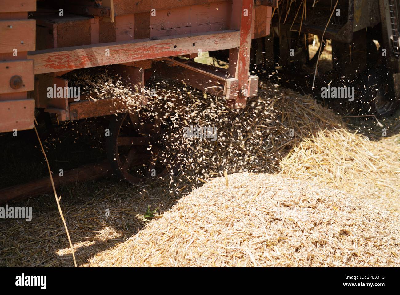 Grain harvest and processing with old traditional equipment Stock Photo ...