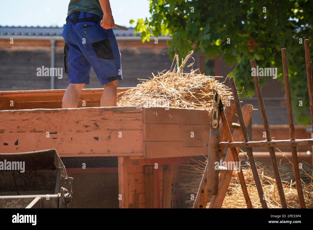 Grain harvest and processing with old traditional equipment Stock Photo ...