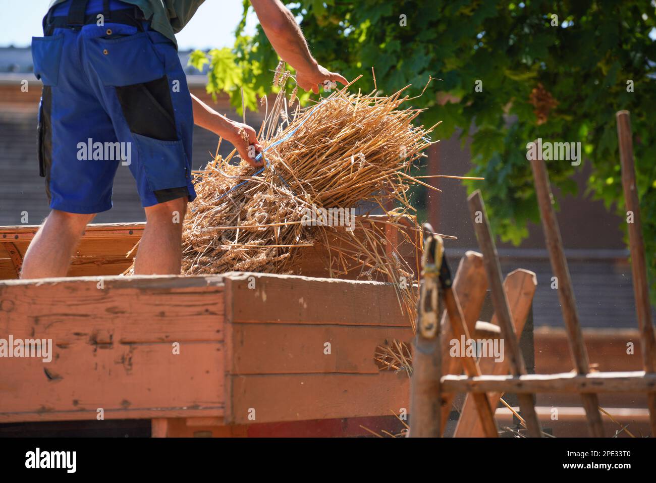 Grain harvest and processing with old traditional equipment Stock Photo ...