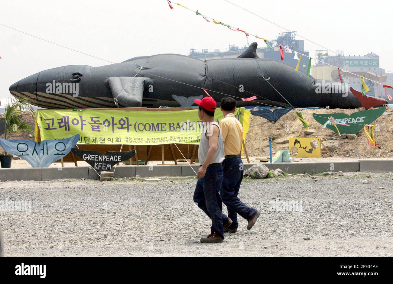 Korean workers walk by a huge whale balloon made by the environmental ...
