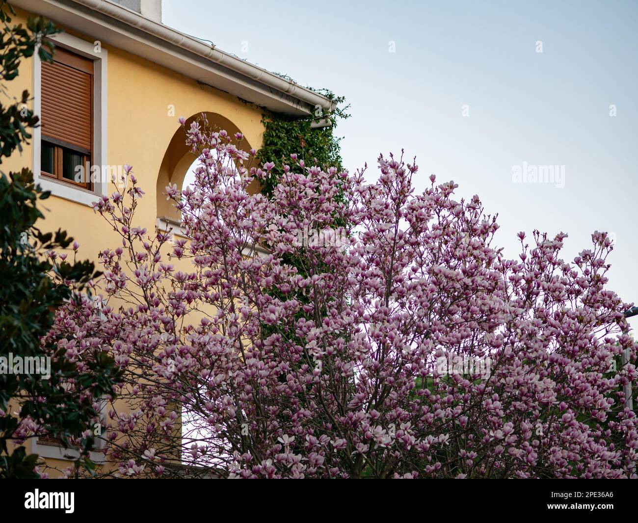 Kristina pink hi-res stock photography and images - Alamy