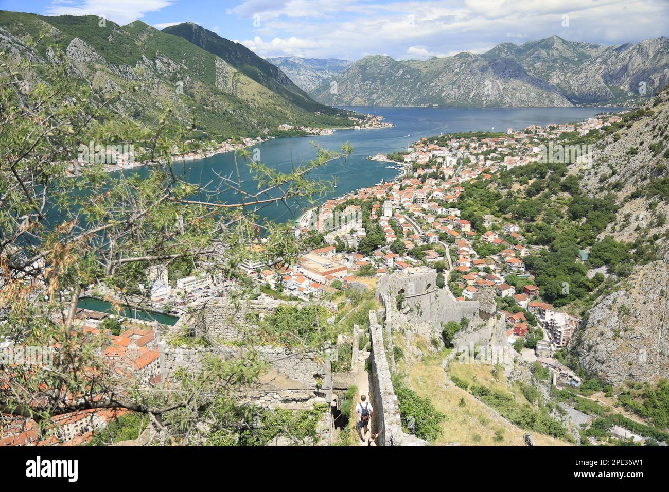 An aerial view of Kotor Bay in Montenegro from the fortress ruins Stock ...