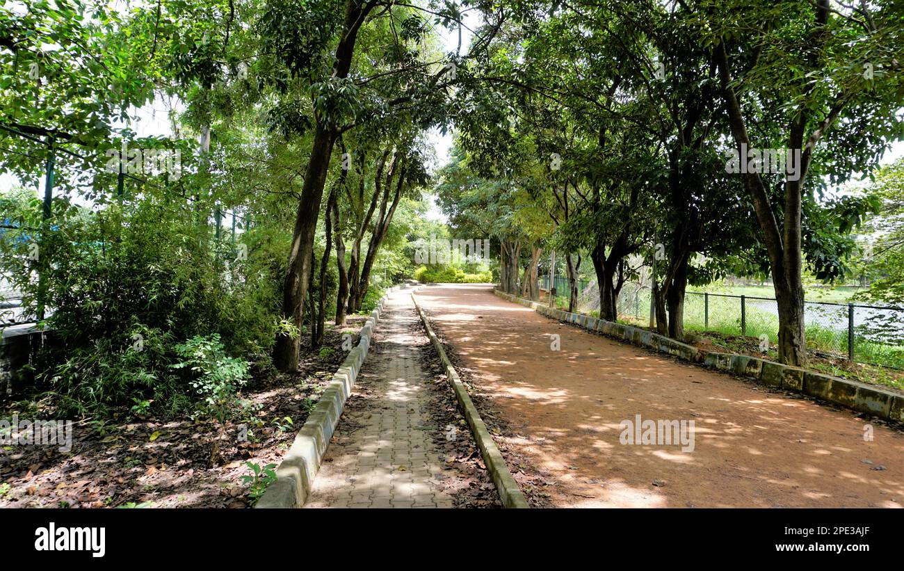 Landscape view of walking lane of Agara lake. Well maintained lake and ...
