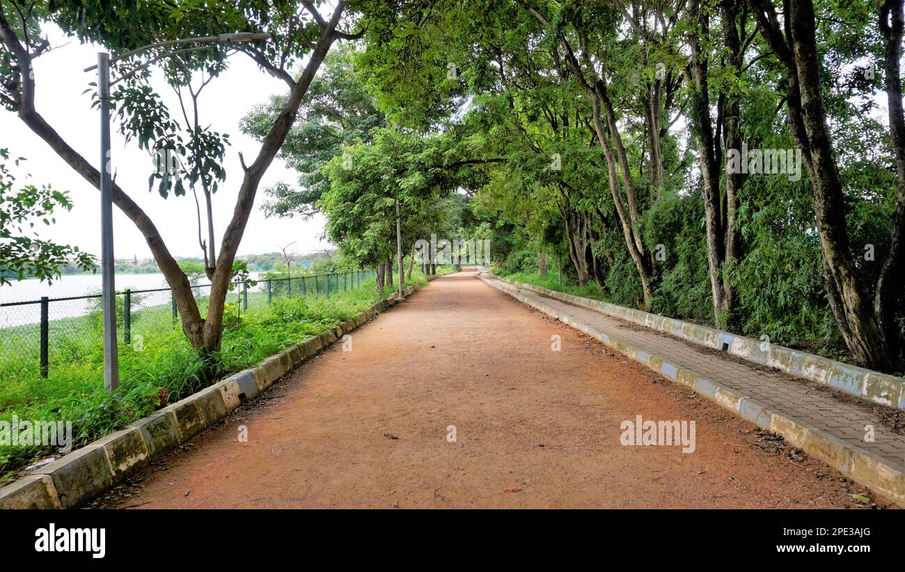 Landscape view of walking lane of Agara lake. Well maintained lake and ...