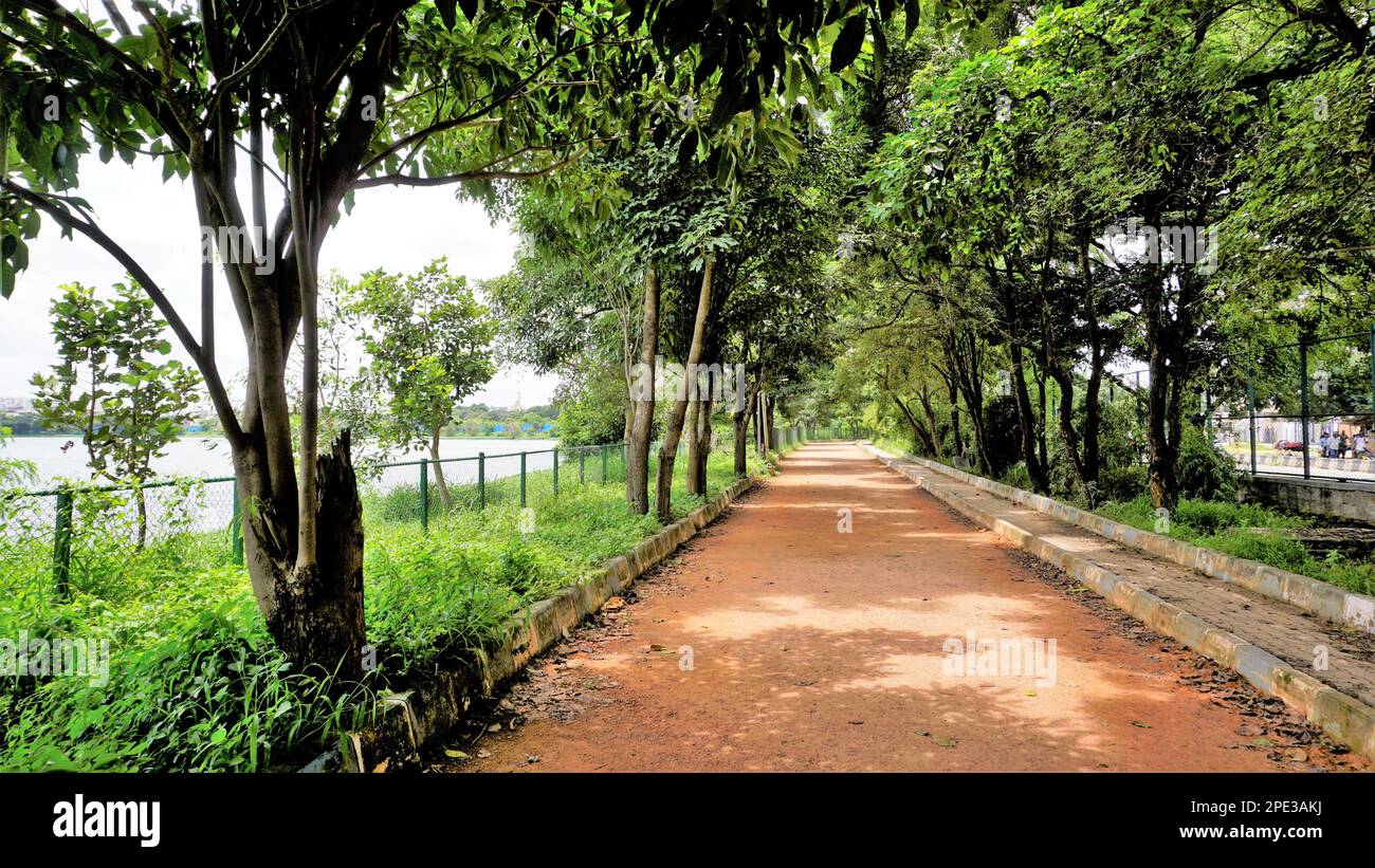 Landscape view of walking lane of Agara lake. Well maintained lake and ...