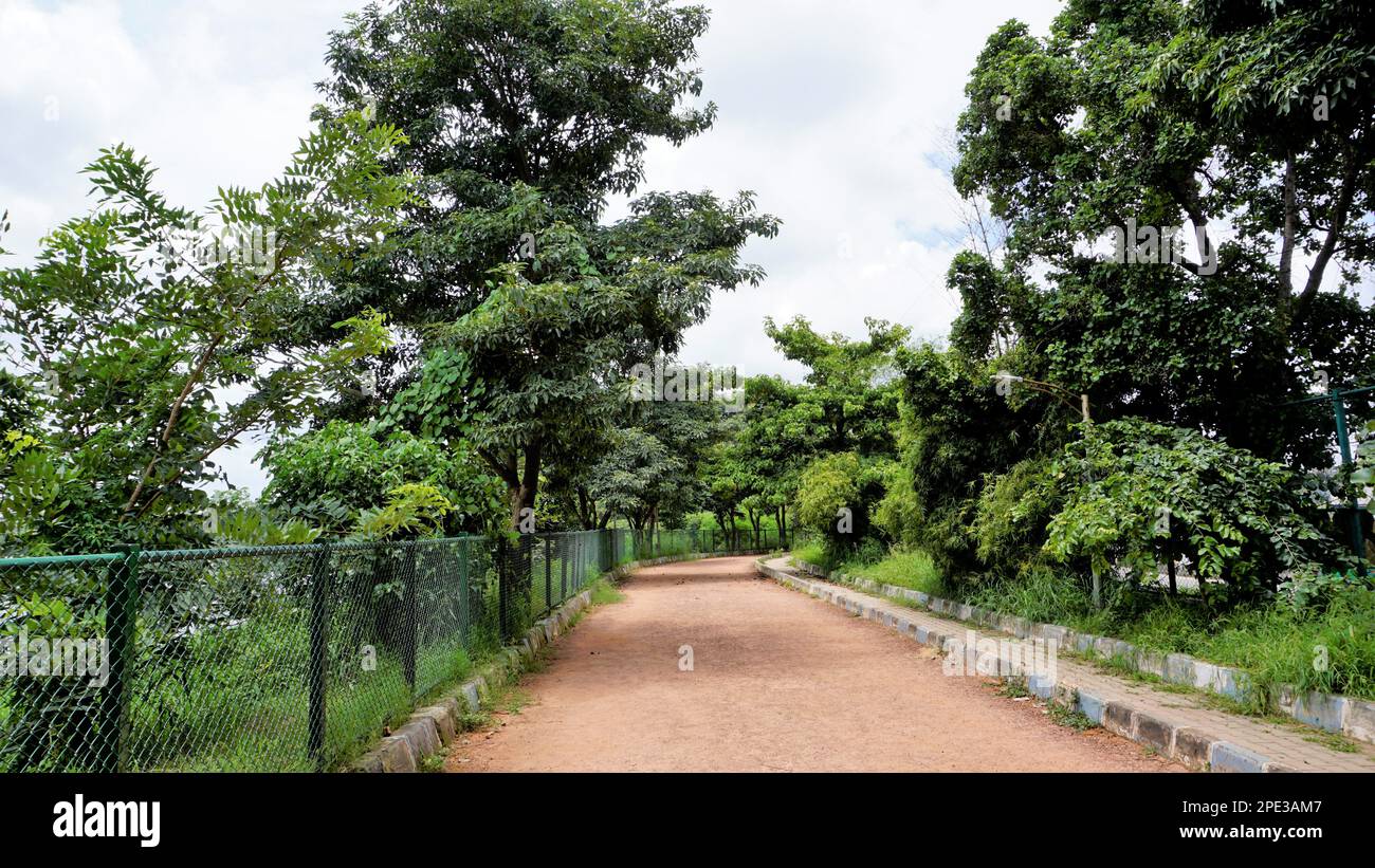Landscape view of walking lane of Agara lake. Well maintained lake and ...