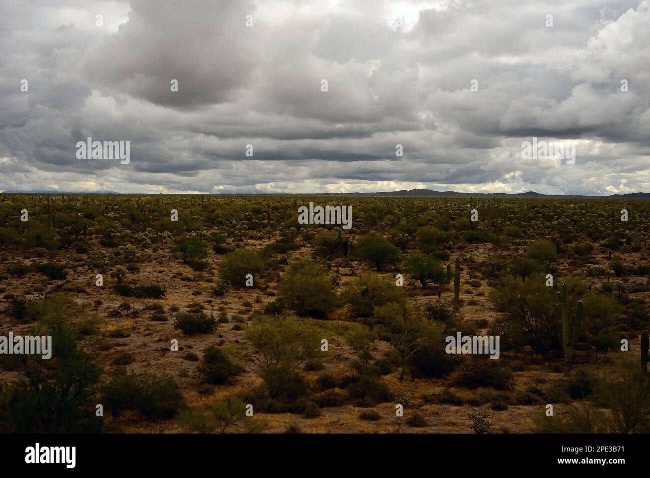 Storm clouds forming over the Sonora desert in central Arizona USA ...