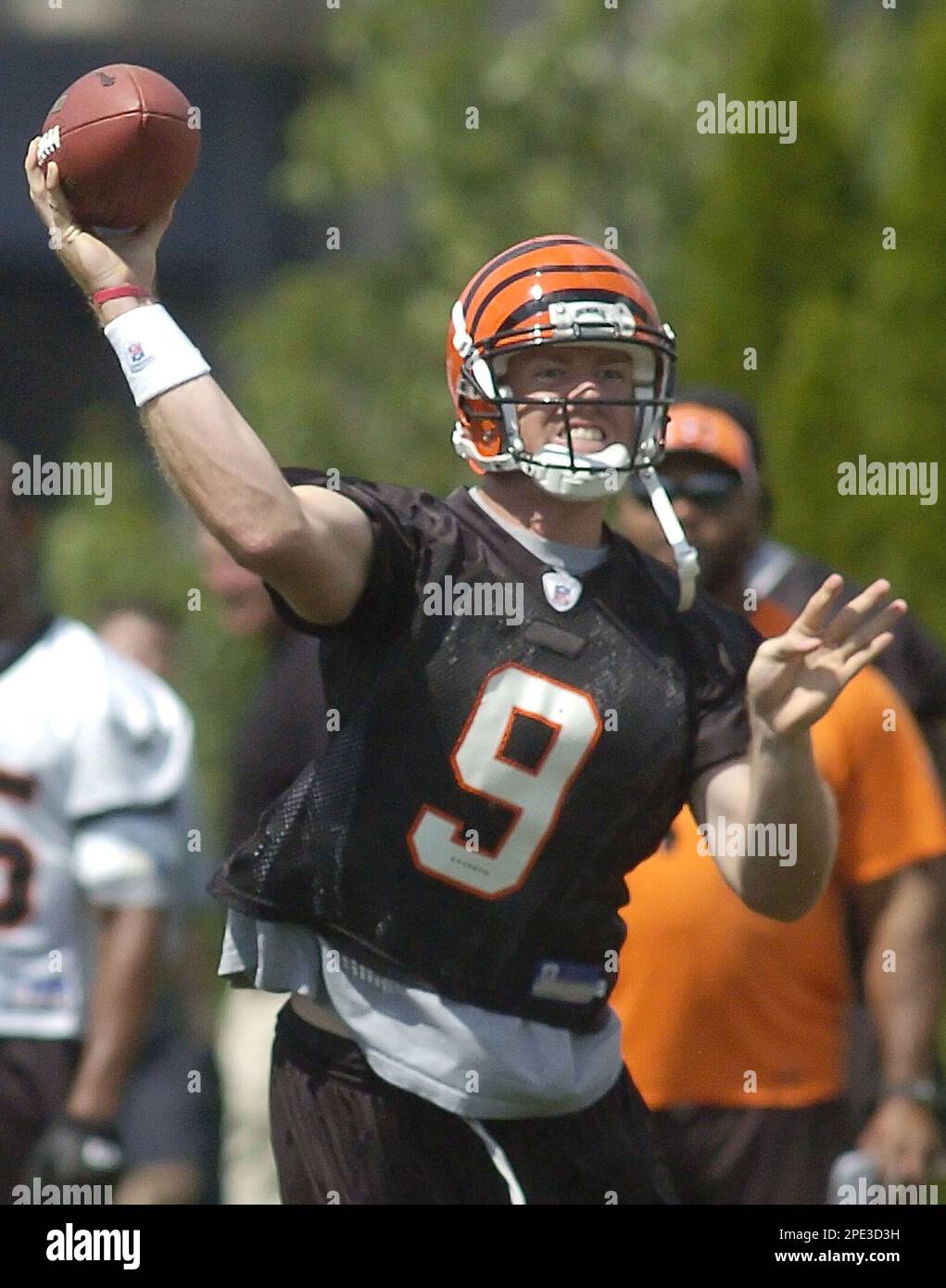 Cincinnati Bengals quarterback Carson Palmer throws a pass during the ...