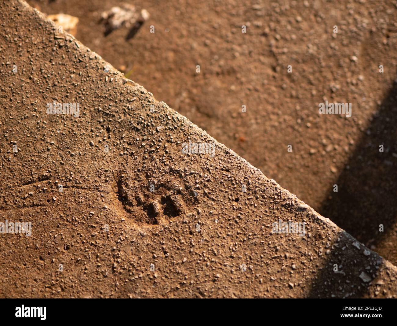 Boot prints on concrete hi-res stock photography and images - Alamy