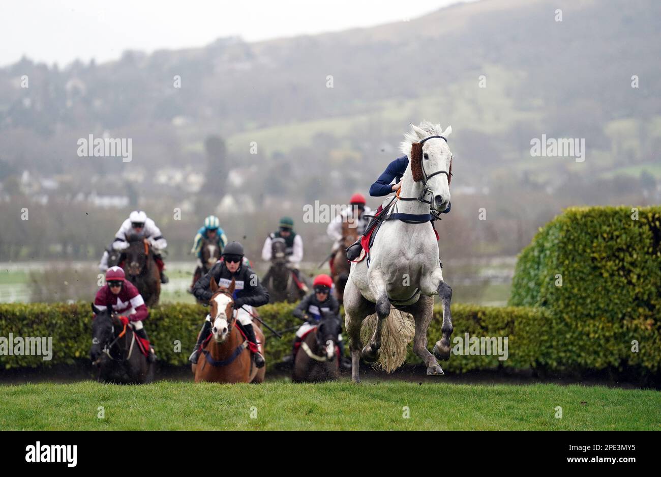 Delta work race horse hi-res stock photography and images - Alamy