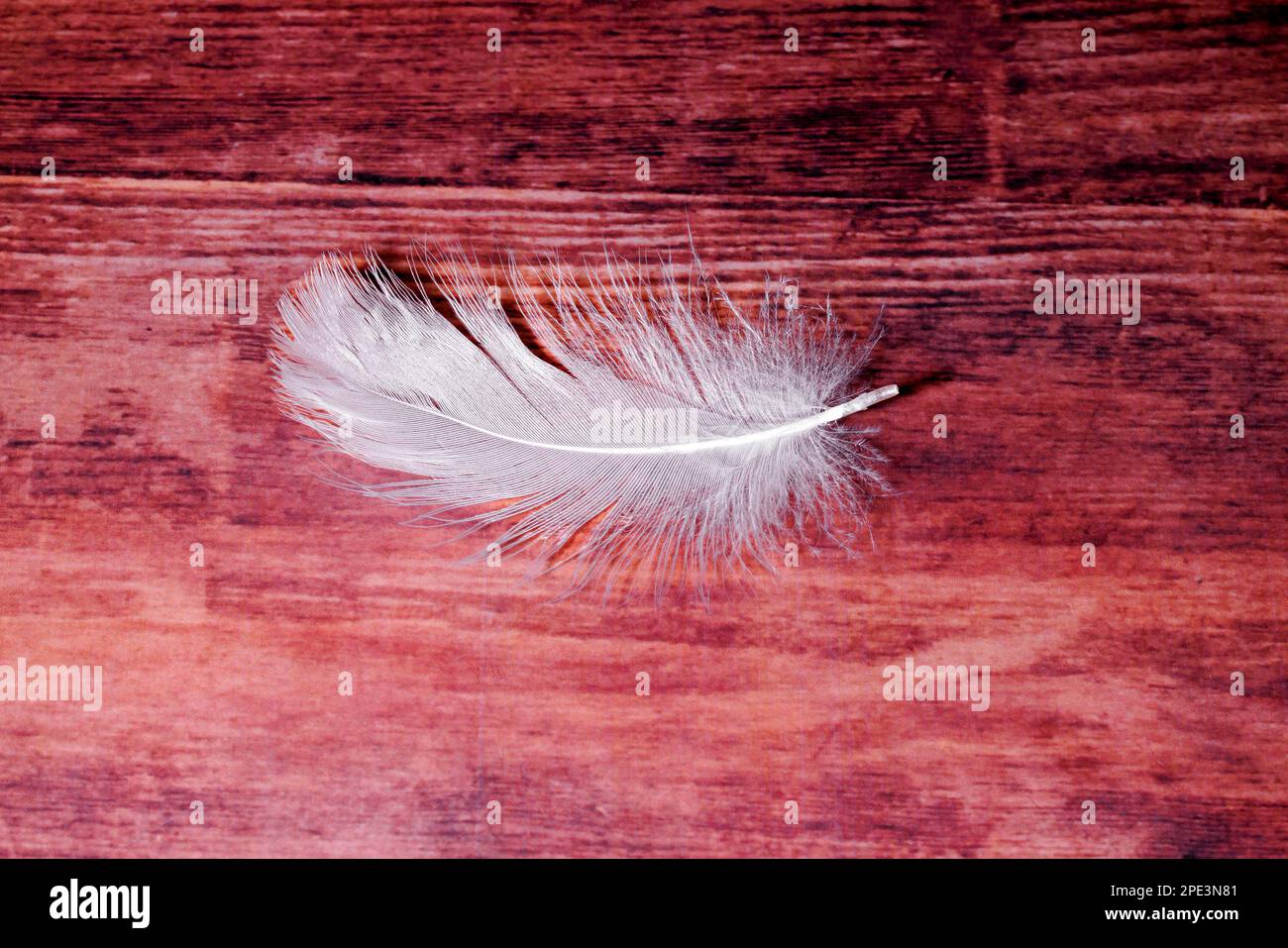 Down and feather hi-res stock photography and images - Alamy