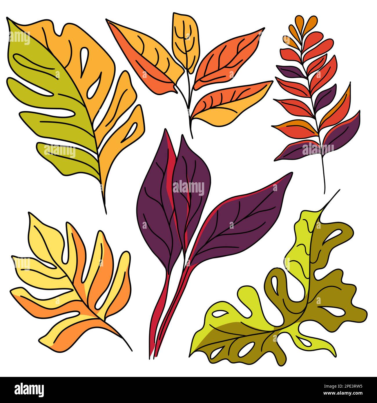 Botanical set of tropical plants in doodle technique vector ...