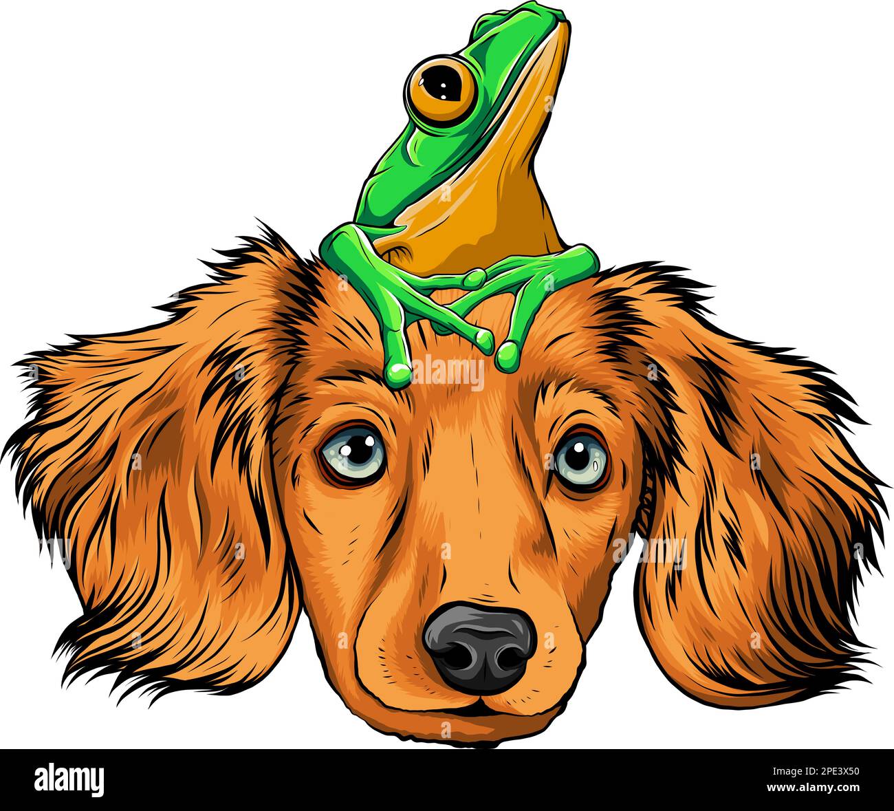 dog and frog cartoon vrctor design Stock Vector Image & Art - Alamy