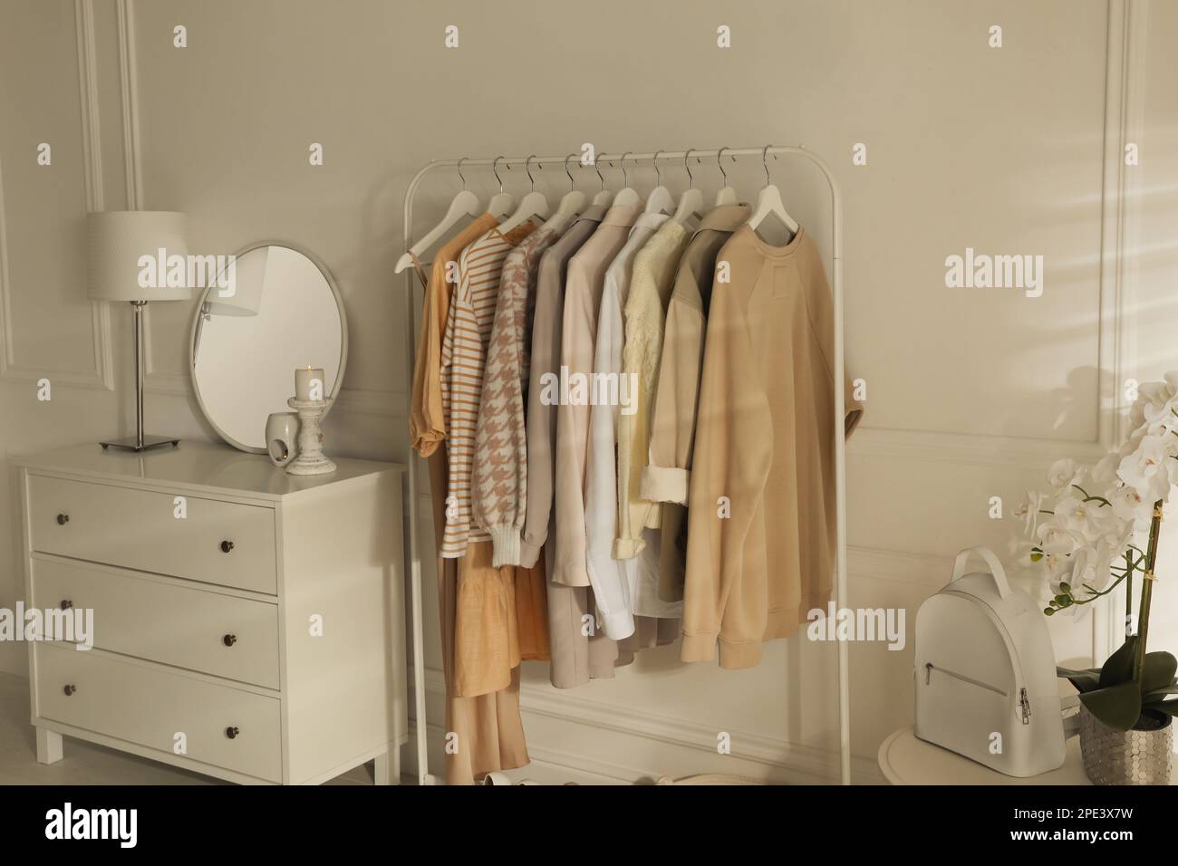 Modern dressing room interior with stylish clothes and beautiful orchid ...