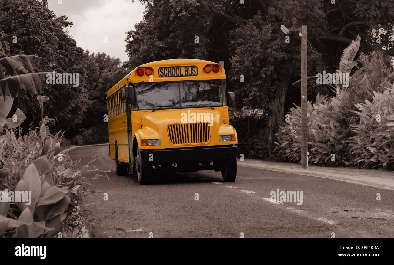 Yellow school bus on road in Dominican Republic Stock Photo - Alamy