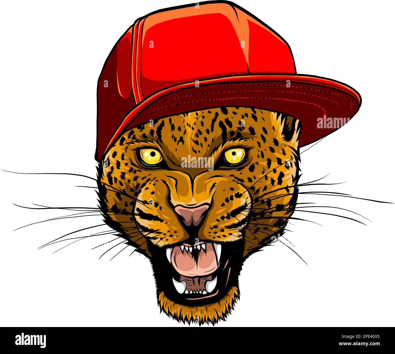 Portrait of a leopard with hip pop hat Stock Vector Image & Art - Alamy