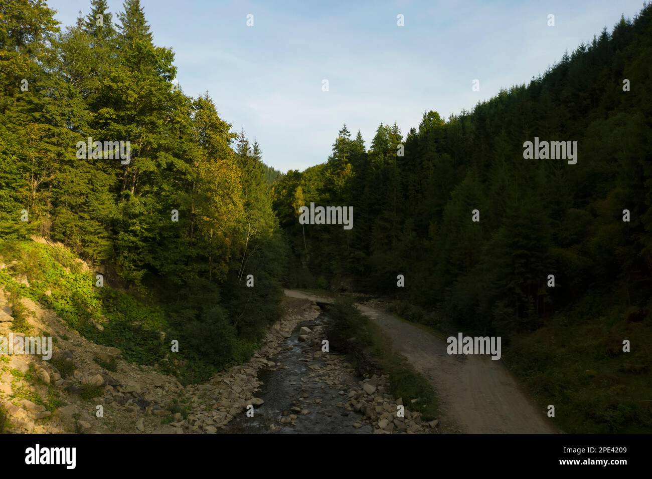 Forest path along river among hi-res stock photography and images - Alamy