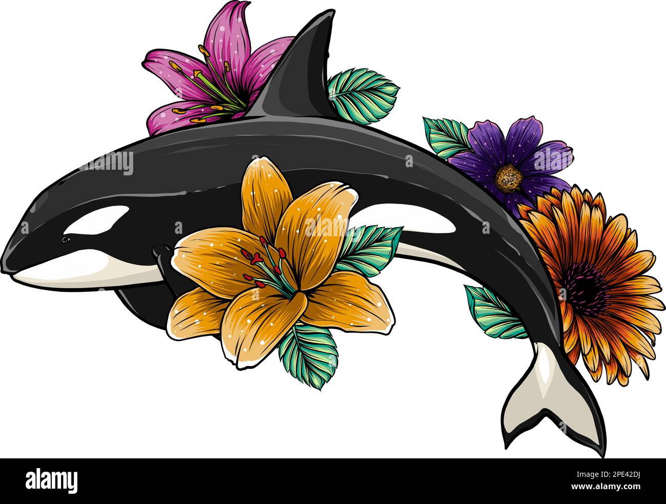 Killer whale intelligence hi-res stock photography and images - Alamy