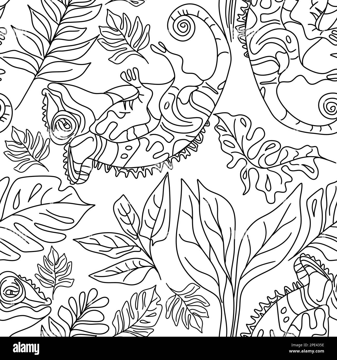 Tropical rainforest Stock Vector Images - Alamy