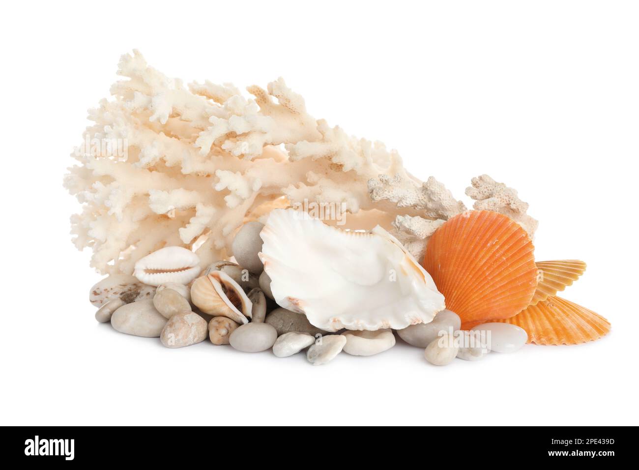 Beautiful exotic sea coral, shells and pebbles on white background ...