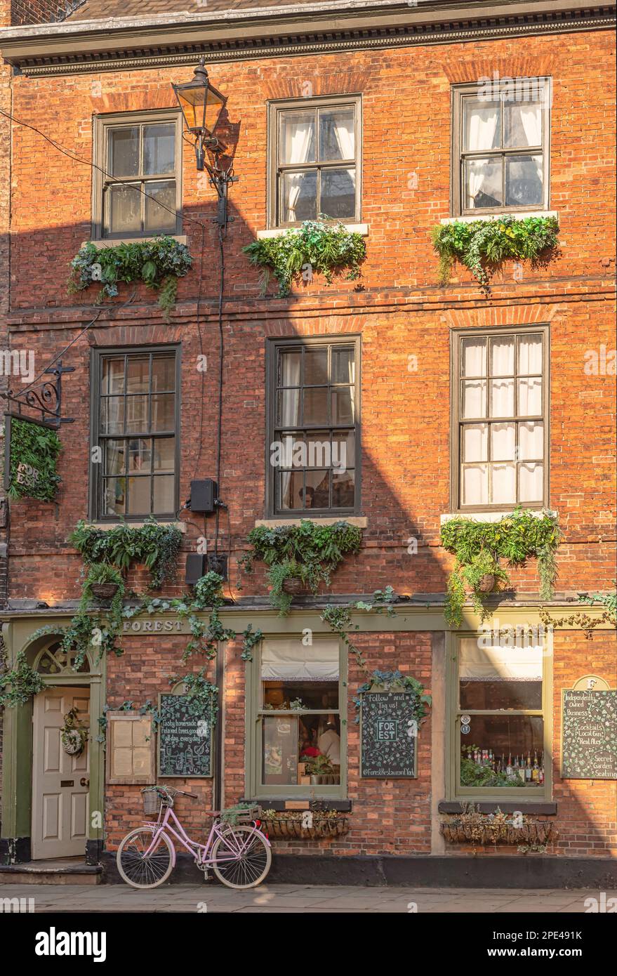 A brick built hotel and restaurant caught in a winter sun. Foliage ...
