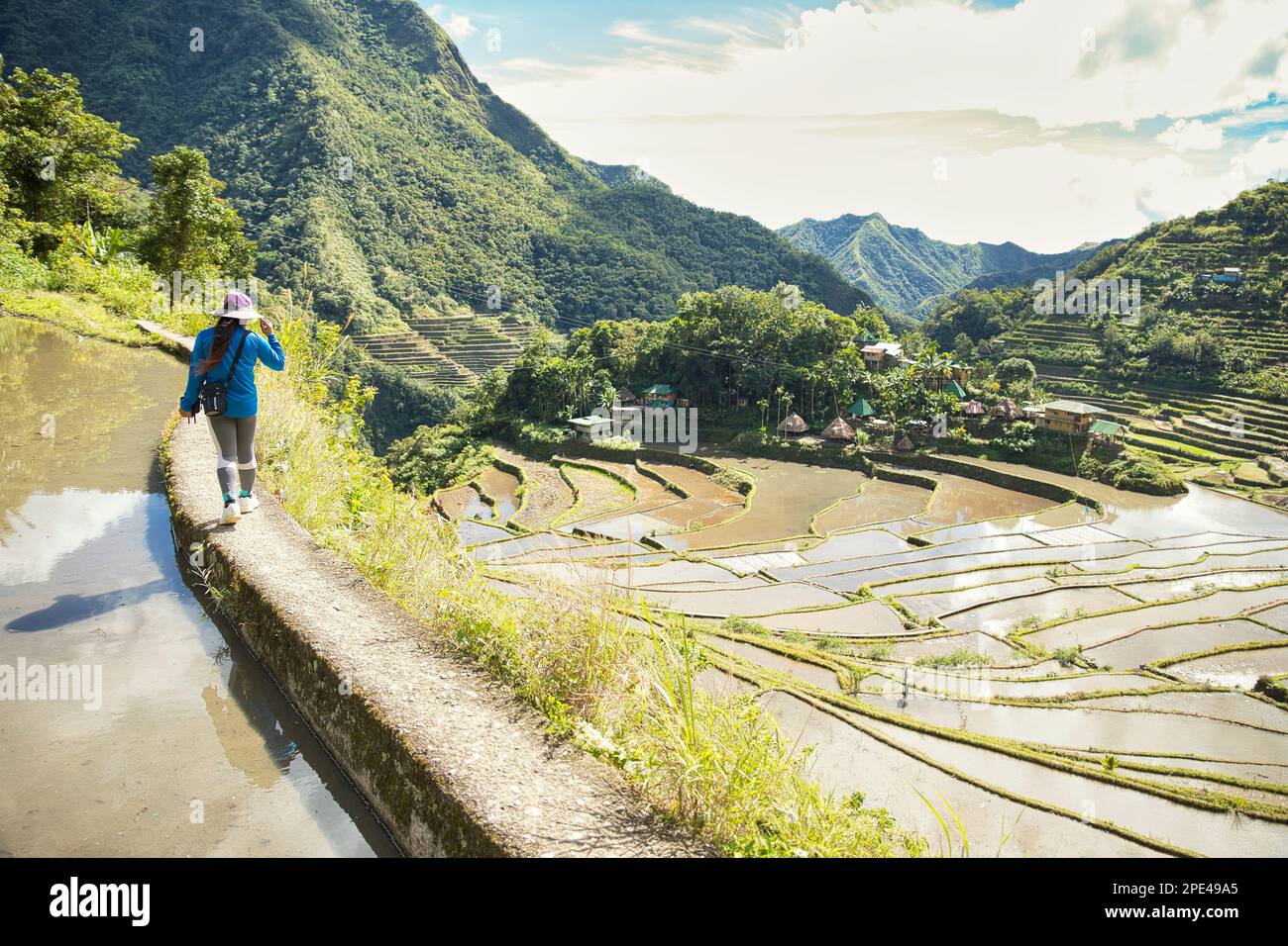 Rice terraces of Banaue in the Philippines, with its rice ponds, in the ...