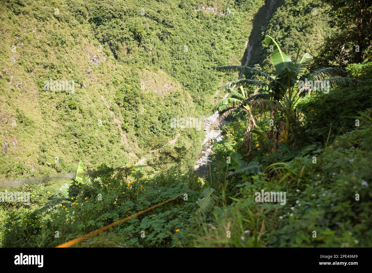 A majestic taal on Banaue in the Philippines with tree covered hills ...