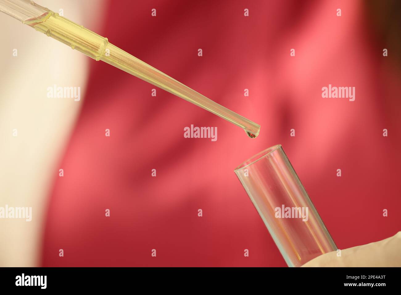 Liquid from pipette drips into test tube close-up Stock Photo - Alamy