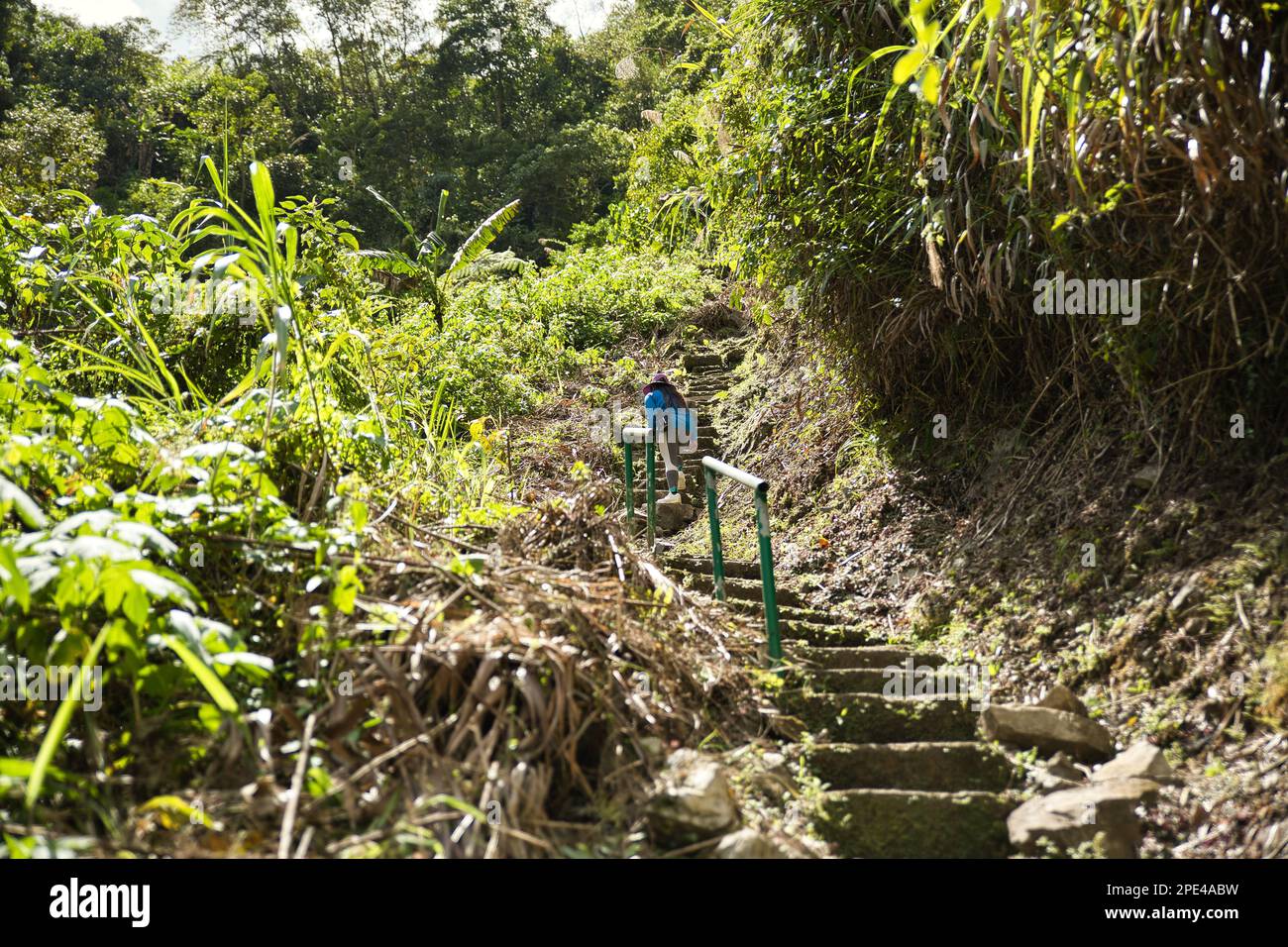A person from behind climbs stairs in the middle of a wild overgrown ...