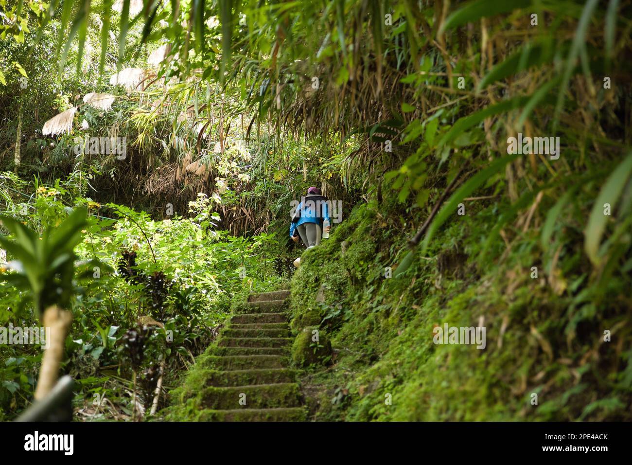 A person from behind climbs stairs in the middle of a wild overgrown ...