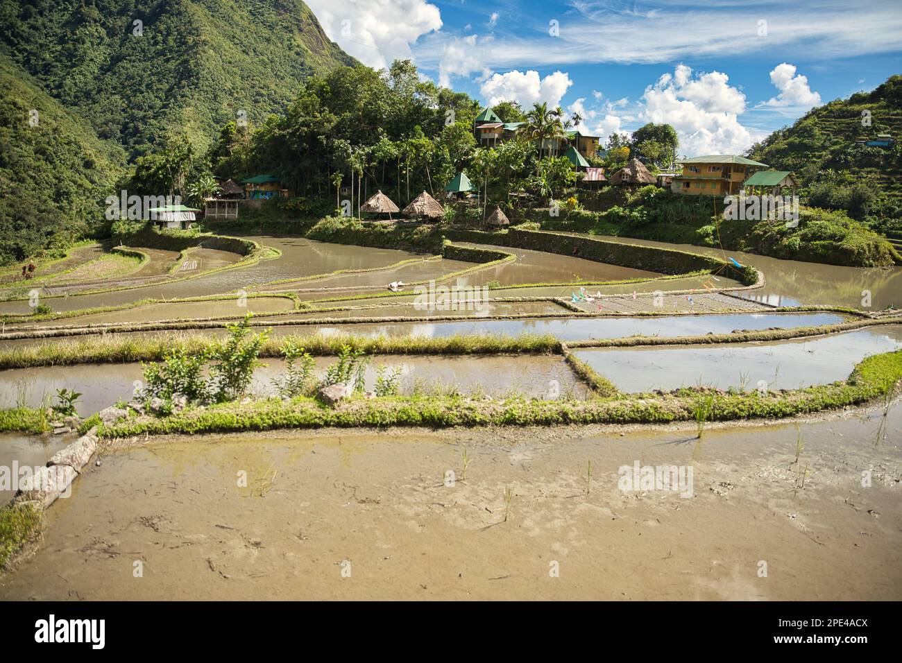 The rice terraces of Banaue in the Philippines, rice ponds in the ...