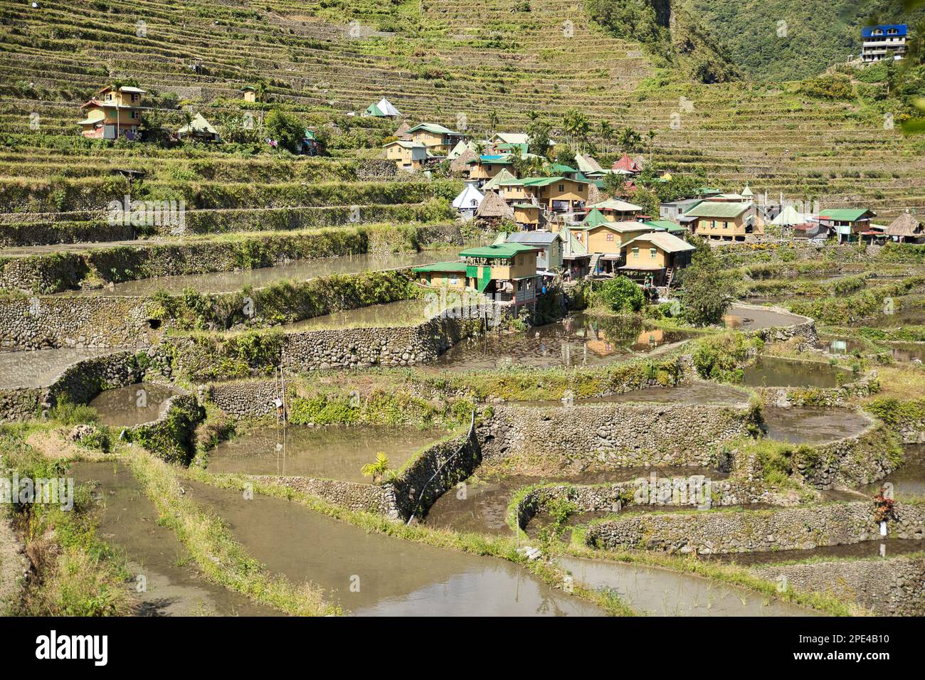 Panoramic view over the rice terraces of Banaue in the Philippines ...