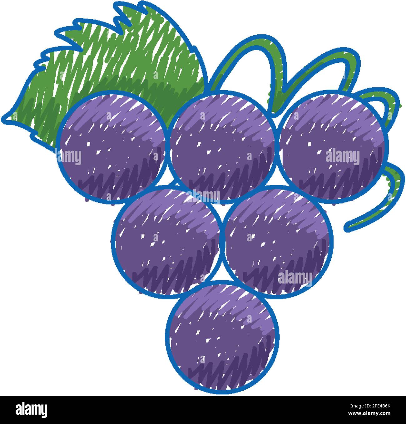 Grape pencil colour child scribble style illustration Stock Vector ...