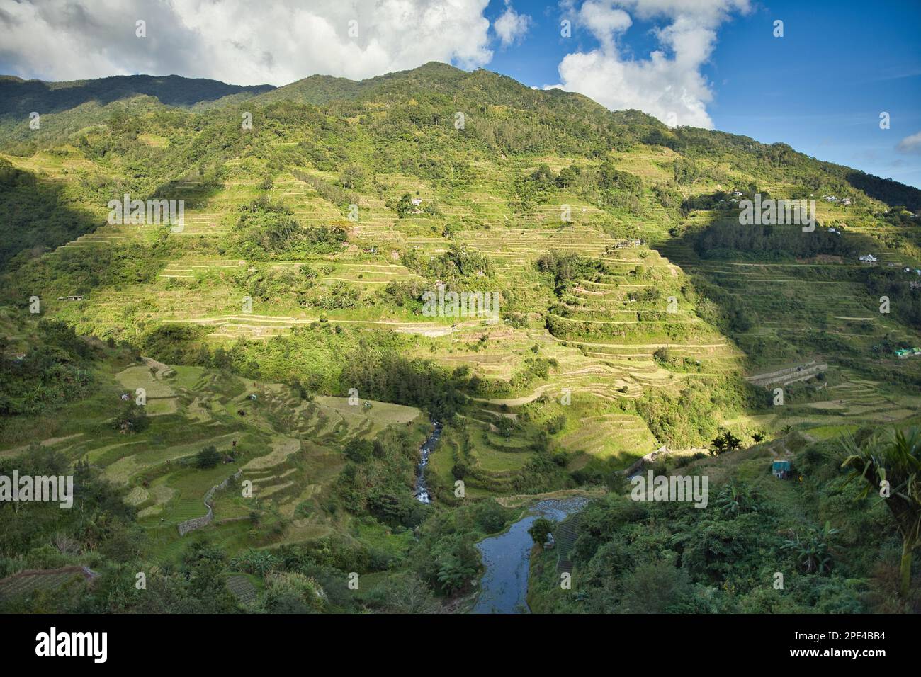 Panoramic view over the rice terraces of Banaue in the Philippines on ...