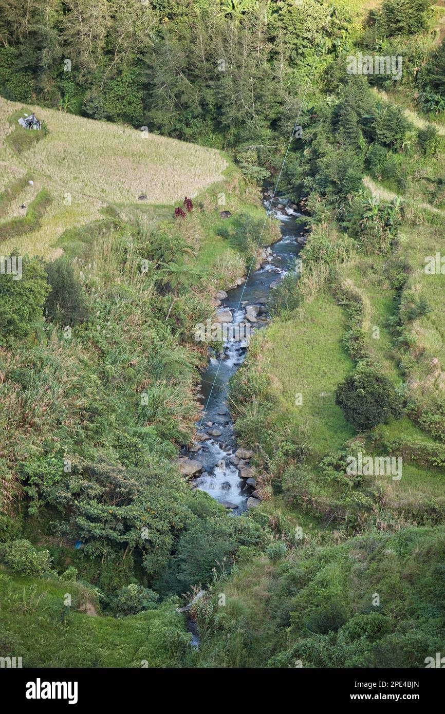 Birds Eye View Shot Over The Rice Terraces Of Banaue In The Philippines Surrounded By Trees