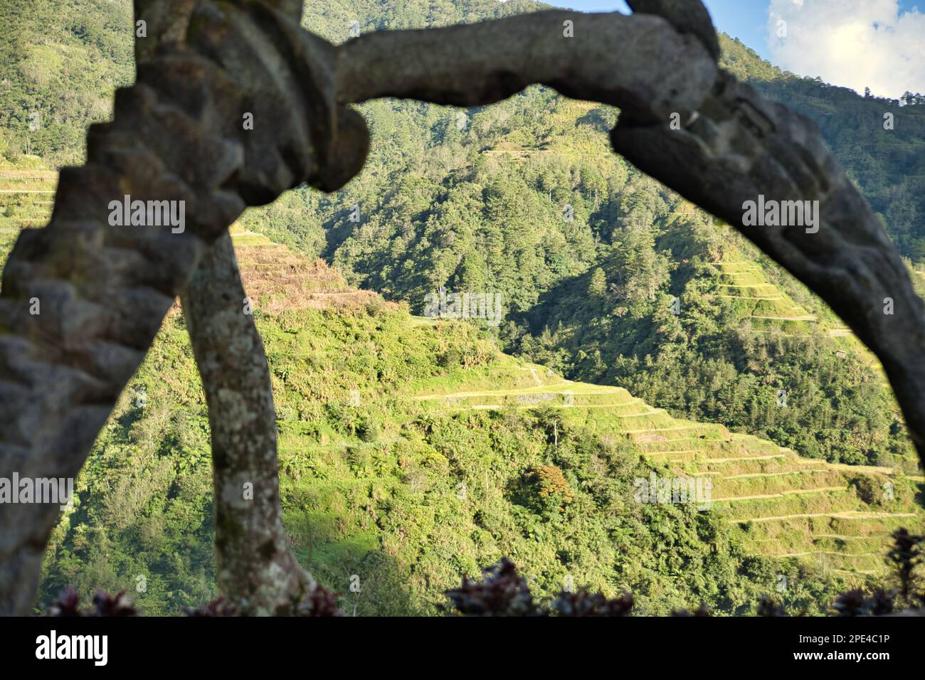 The rice terraces of Banaue in the Philippines, which rise steeply like ...