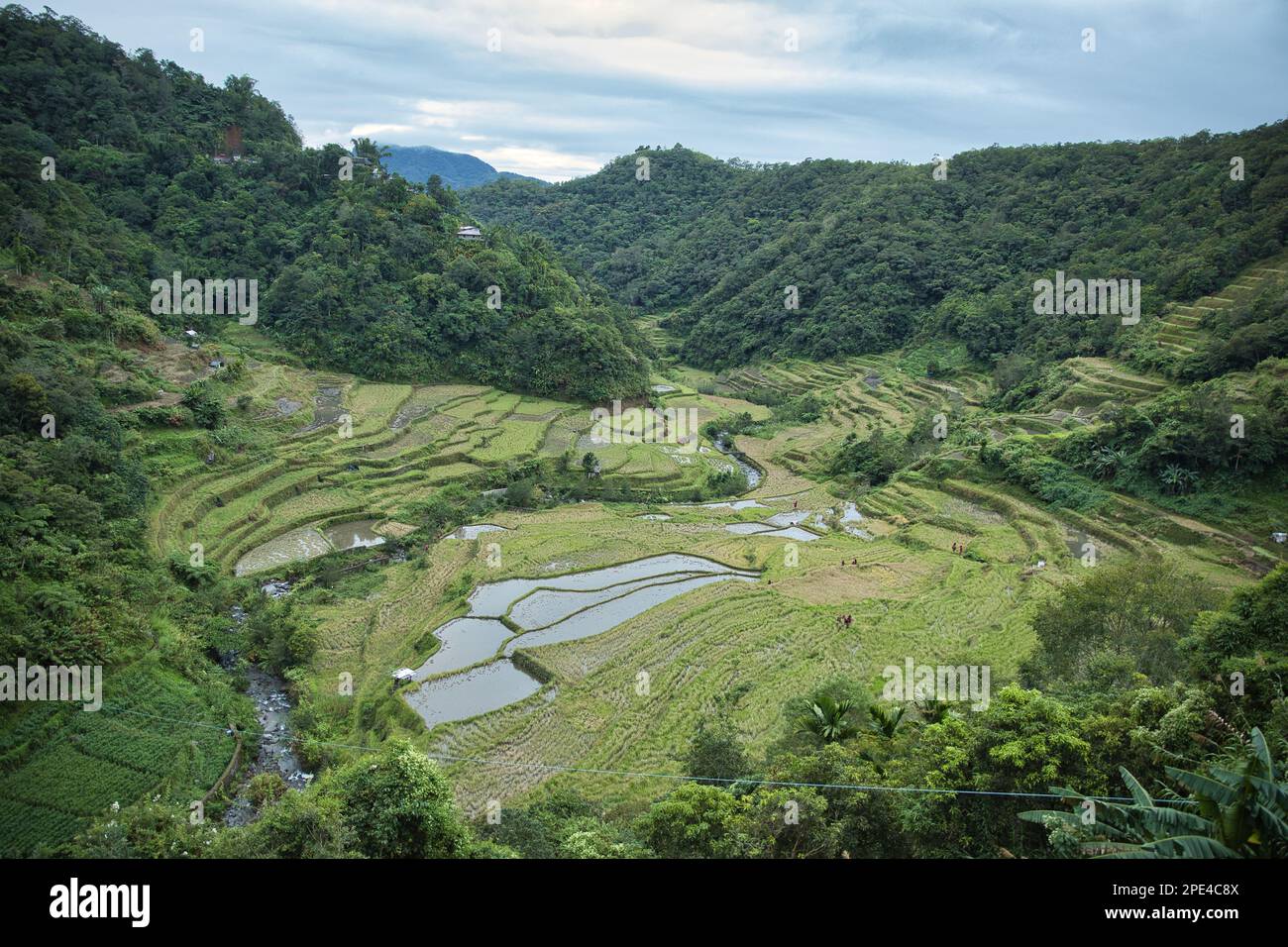 Panorama view over the rice terraces of Banaue in the Philippines ...