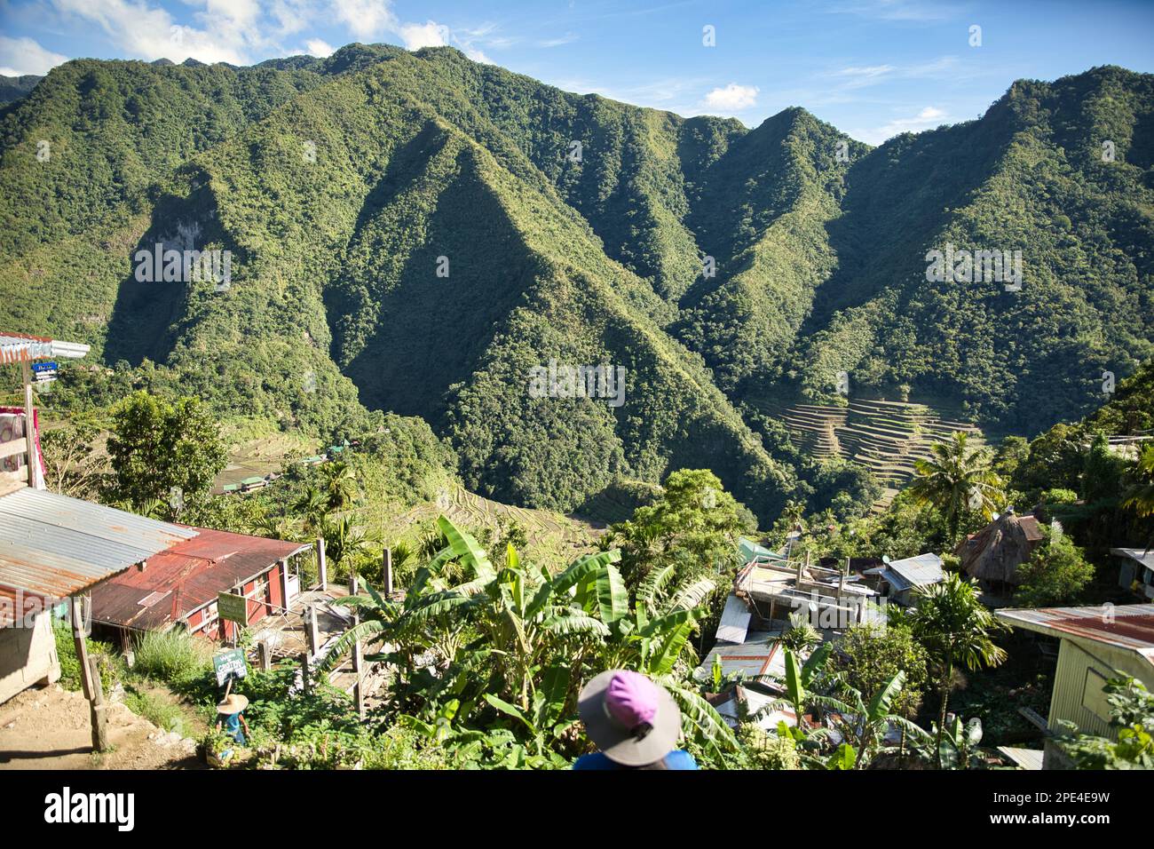 The majestic taal of Banaue in the Philippines with its rice terraces ...