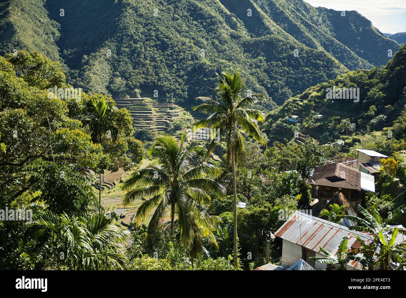 The majestic taal of Banaue in the Philippines with its rice terraces ...