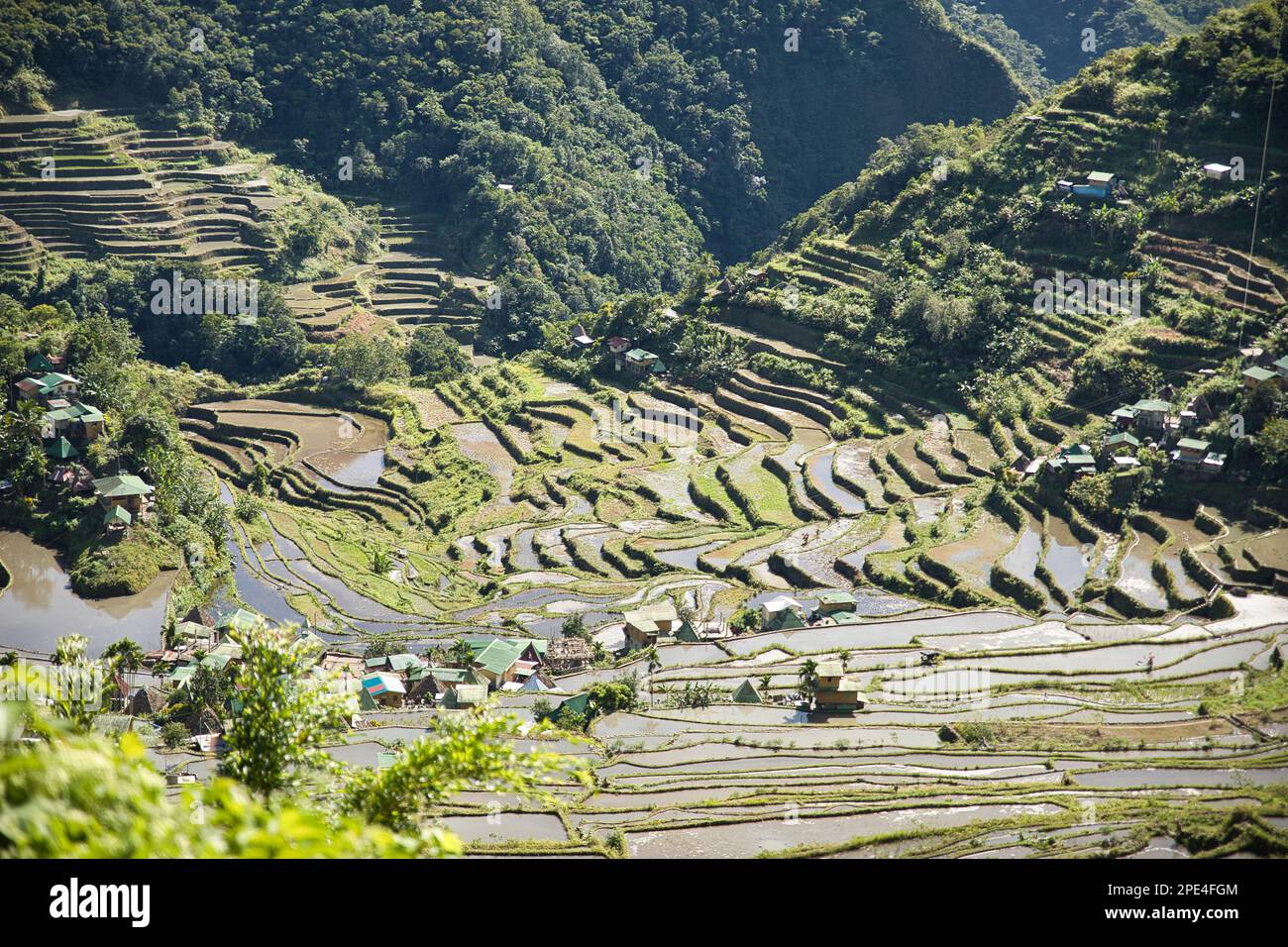 Panorama view over the rice terraces of Banaue in the Philippines ...