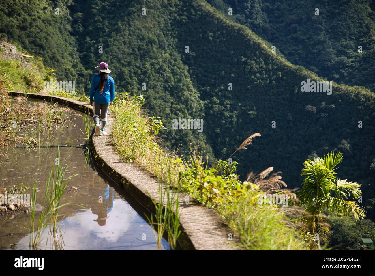 Rice terraces of Banaue in the Philippines, with its rice ponds, in the ...