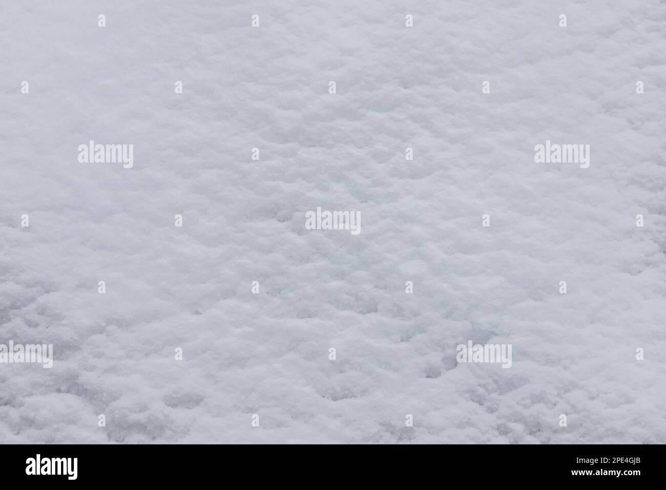 Beautiful winter background with snowy ground. Natural snow texture ...